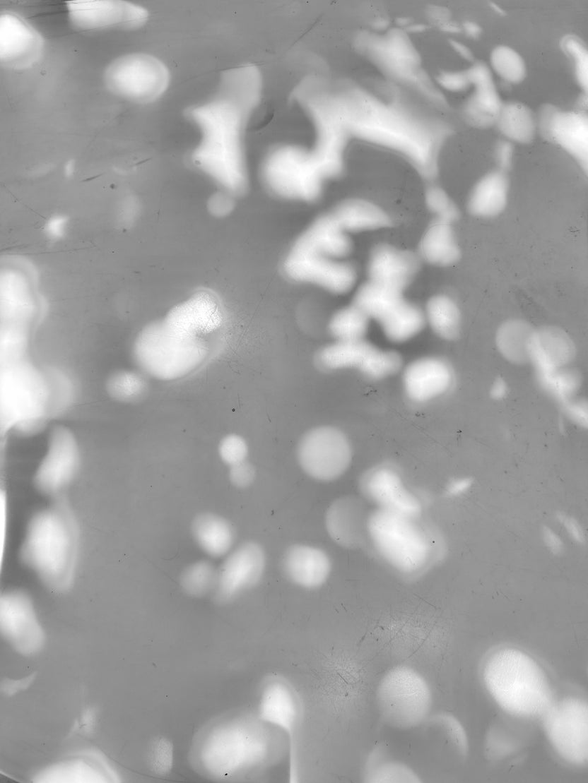 MONOTONE Series – ONC MERINO